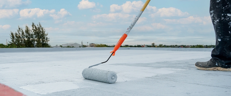 Seep Guard for Waterproofing of Terrace & Roof Waterproofing